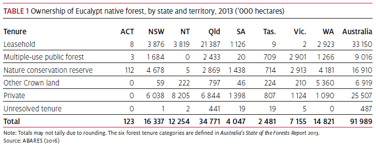 Eucalypt Forest Daff